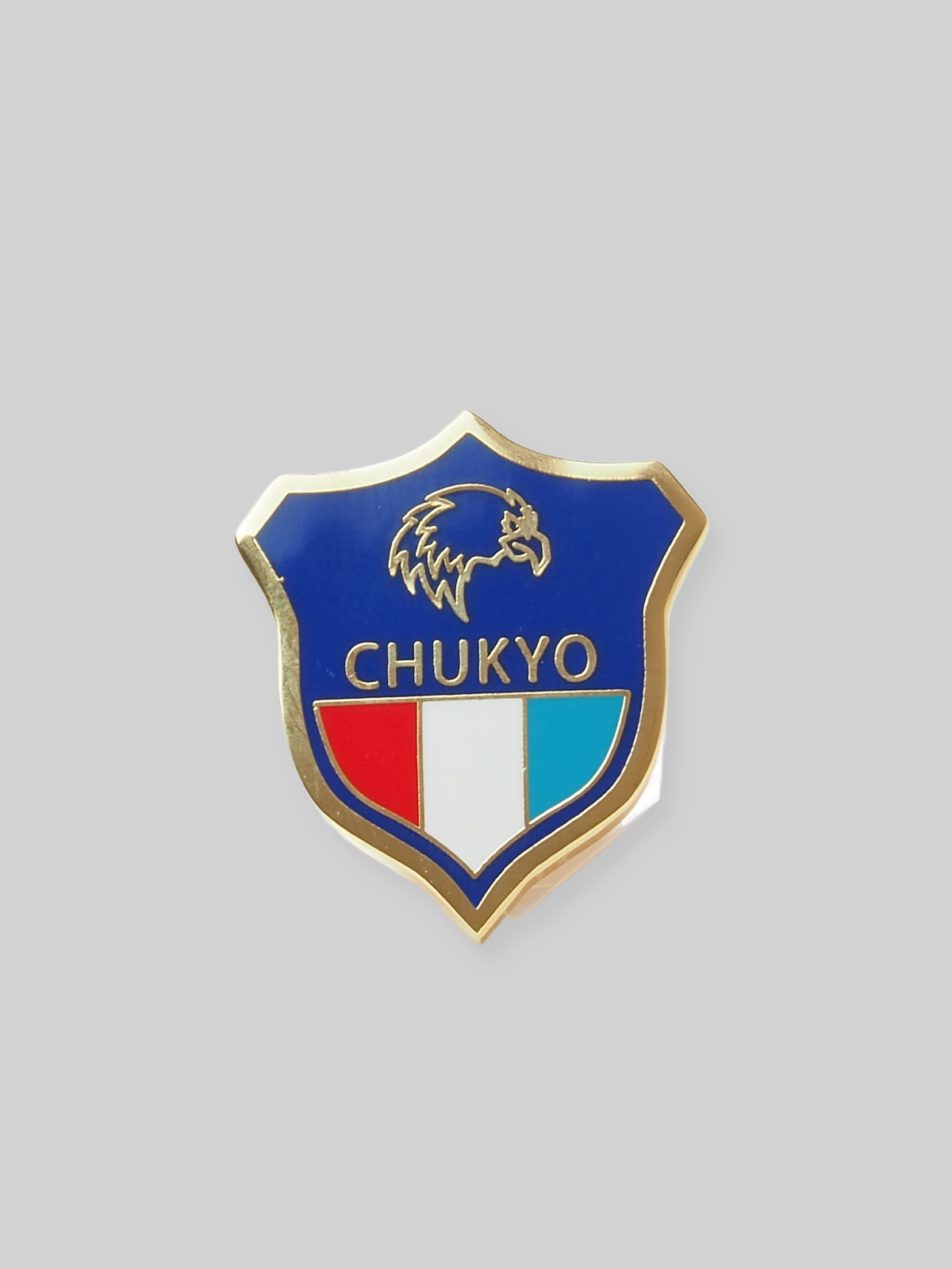 CHUKYO オフィシャル ピンバッジ CHUKYOイーグル – COLLEGE MARKET｜カレッジマーケット